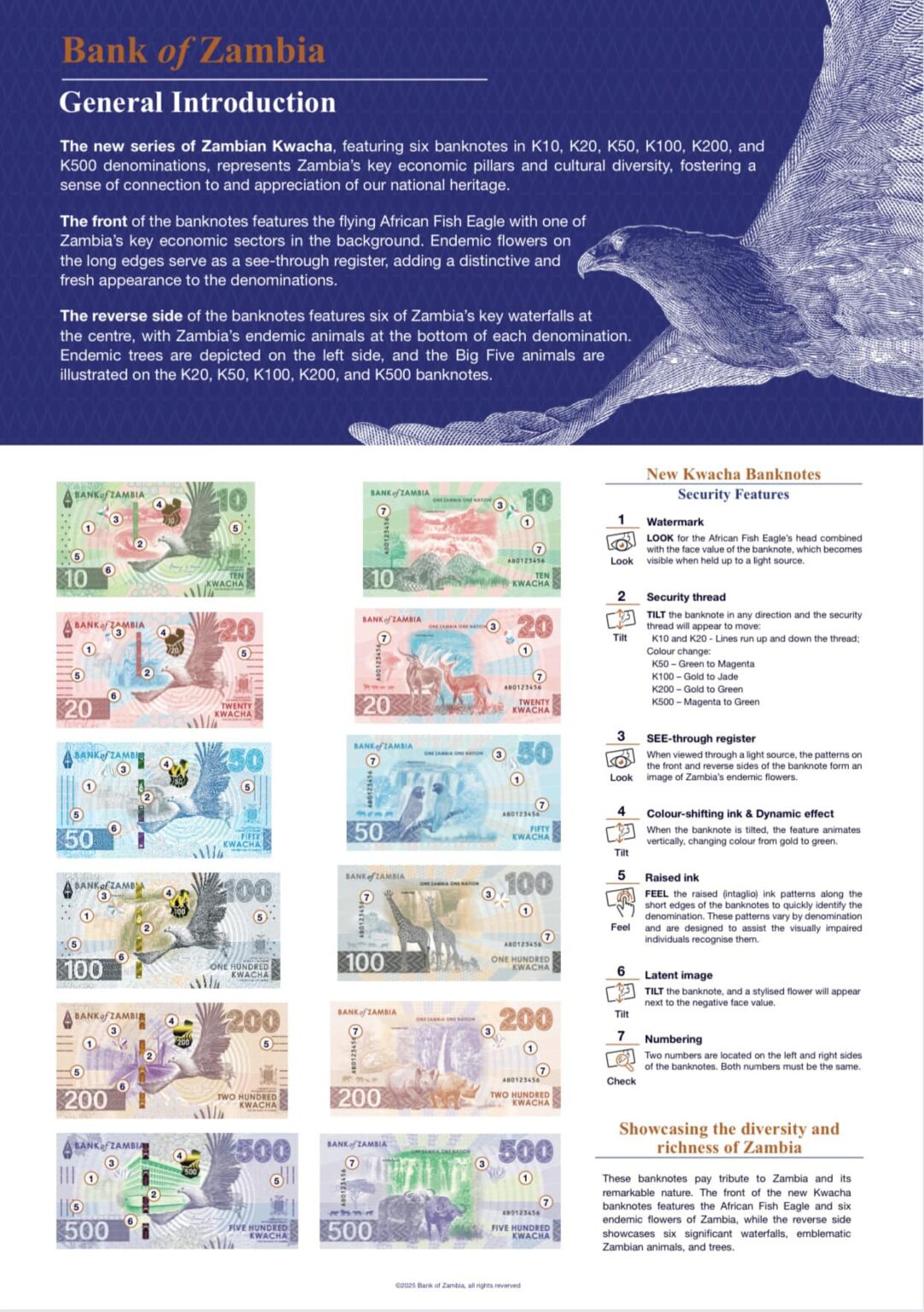 Bank of Zambia issues new bank notes – Daily Nation